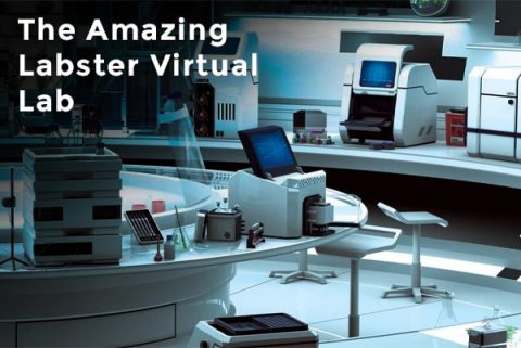 Labster Answers: Expert Solutions for Science Simulations