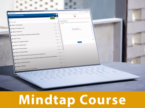 How To Get Cengage MindTap Answers?