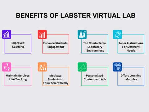 Labster Answers: Expert Solutions for Science Simulations