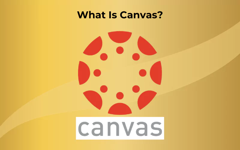 How To Hack Canvas Quiz Hacks And s To See Answers