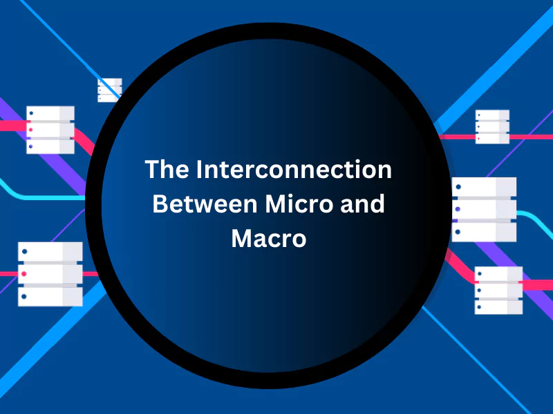 Microeconomics vs Macroeconomics: Key Differences Explained