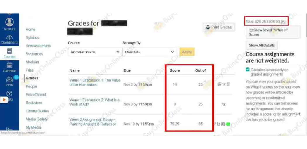 Pay Someone to Take My Online Class | Best Online Class Help