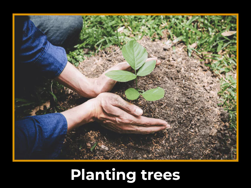 50+ Unique Student Council Ideas for School Spirit